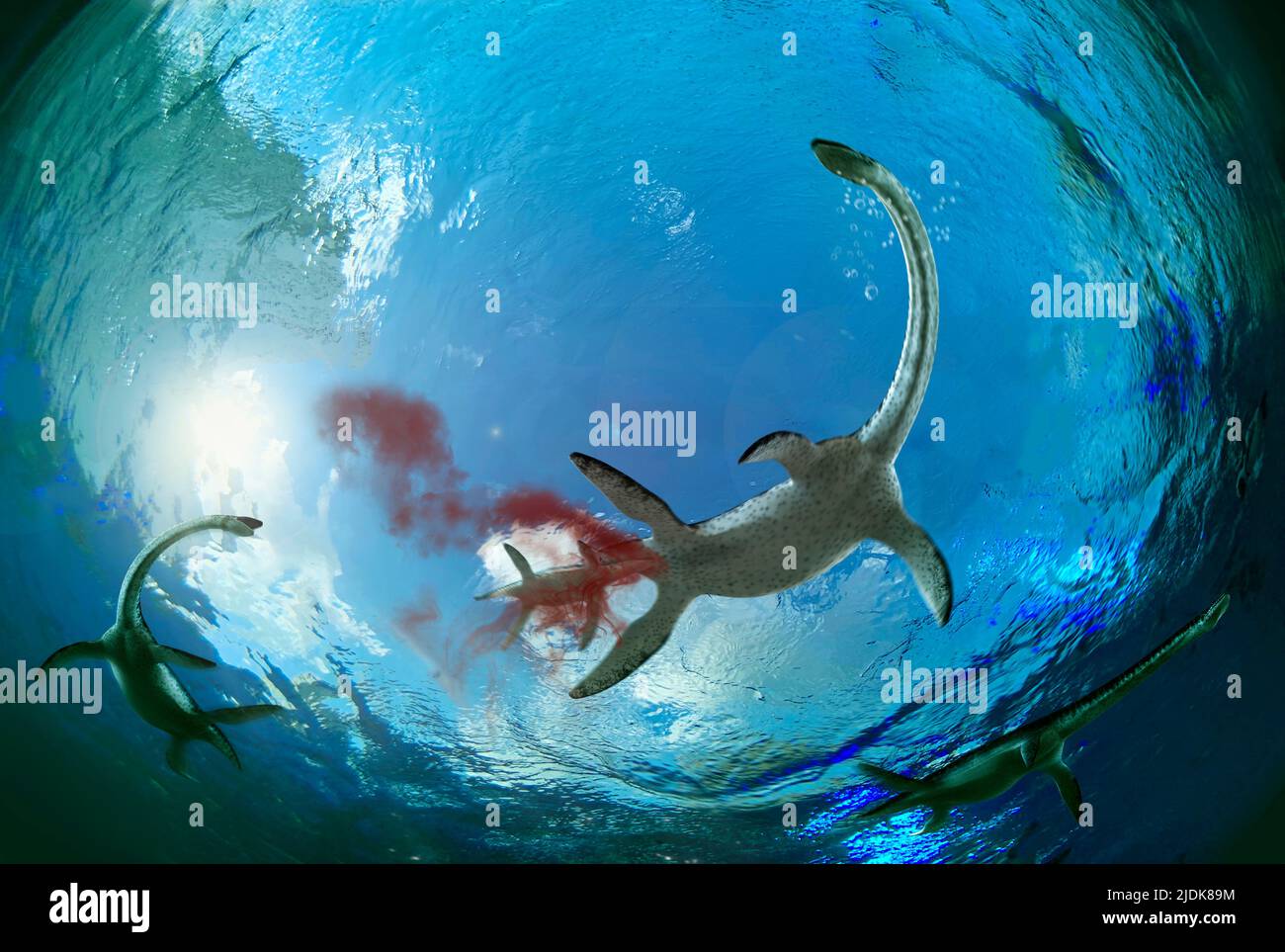 Plesiosaurus marine reptile birthing, illustration Stock Photo - Alamy
