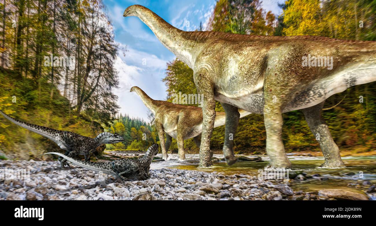 Turiasaurus and allosaurus dinosaurs, illustration Stock Photo - Alamy