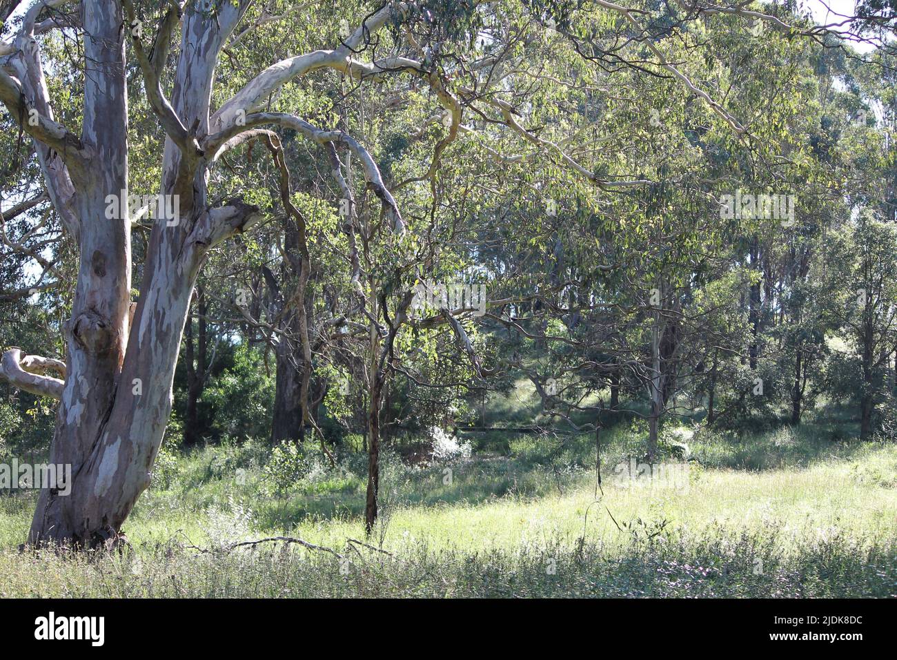 Australian lanscape hi-res stock photography and images - Alamy