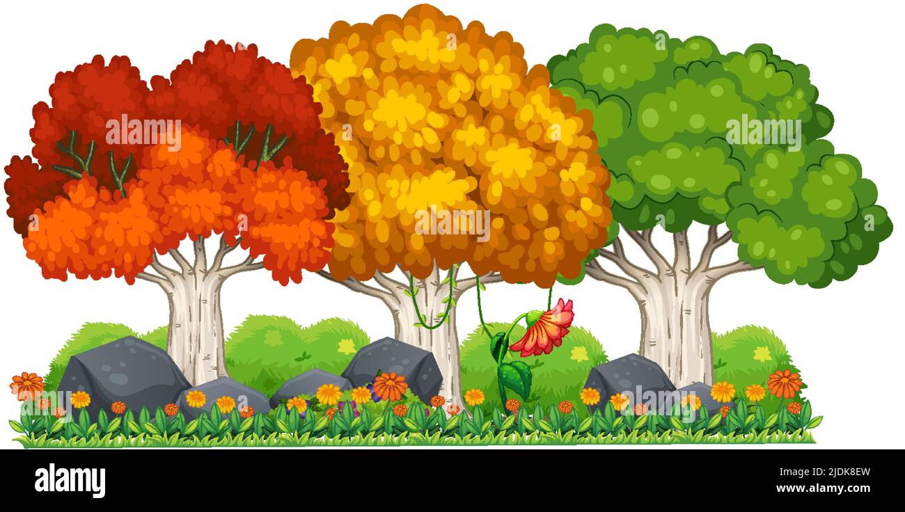 Different trees in different seasons illustration Stock Vector Image ...