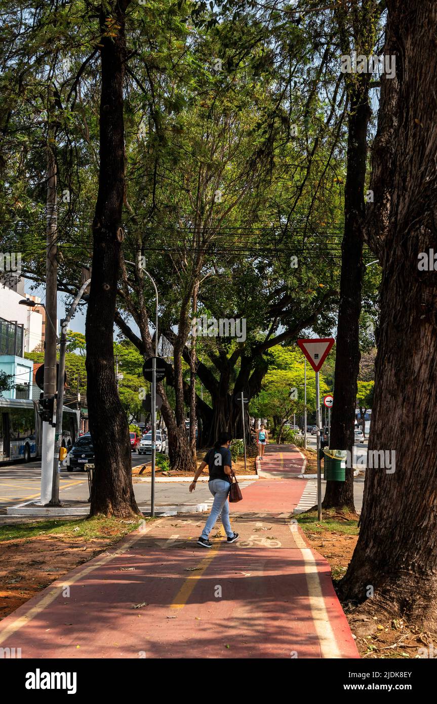 Latin america road median hi-res stock photography and images - Alamy