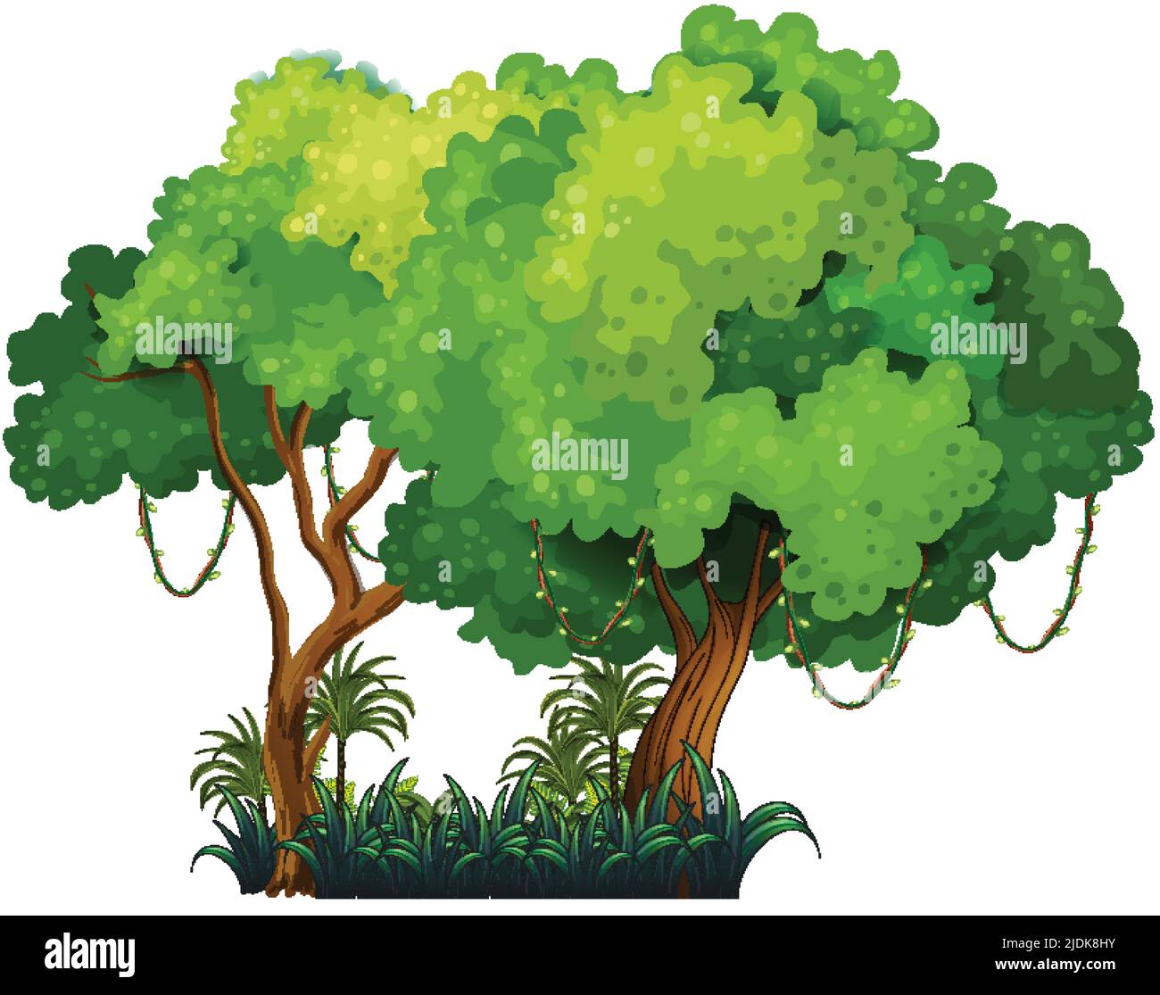Big tree isolated cartoon illustration Stock Vector Image & Art - Alamy