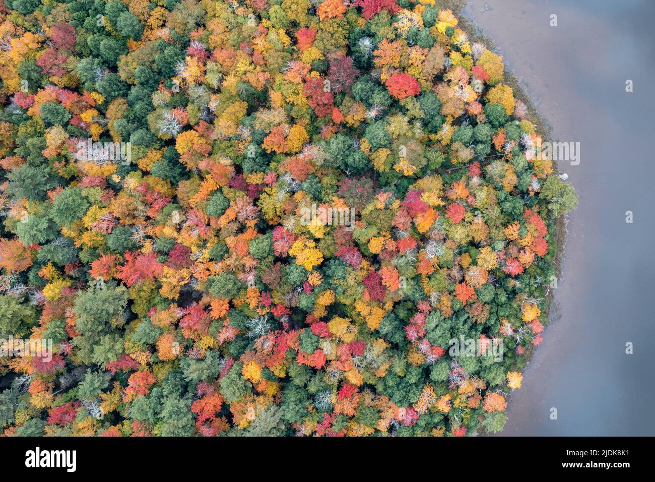 Colgate Lake in Upstate New York during peak fall foliage season Stock ...