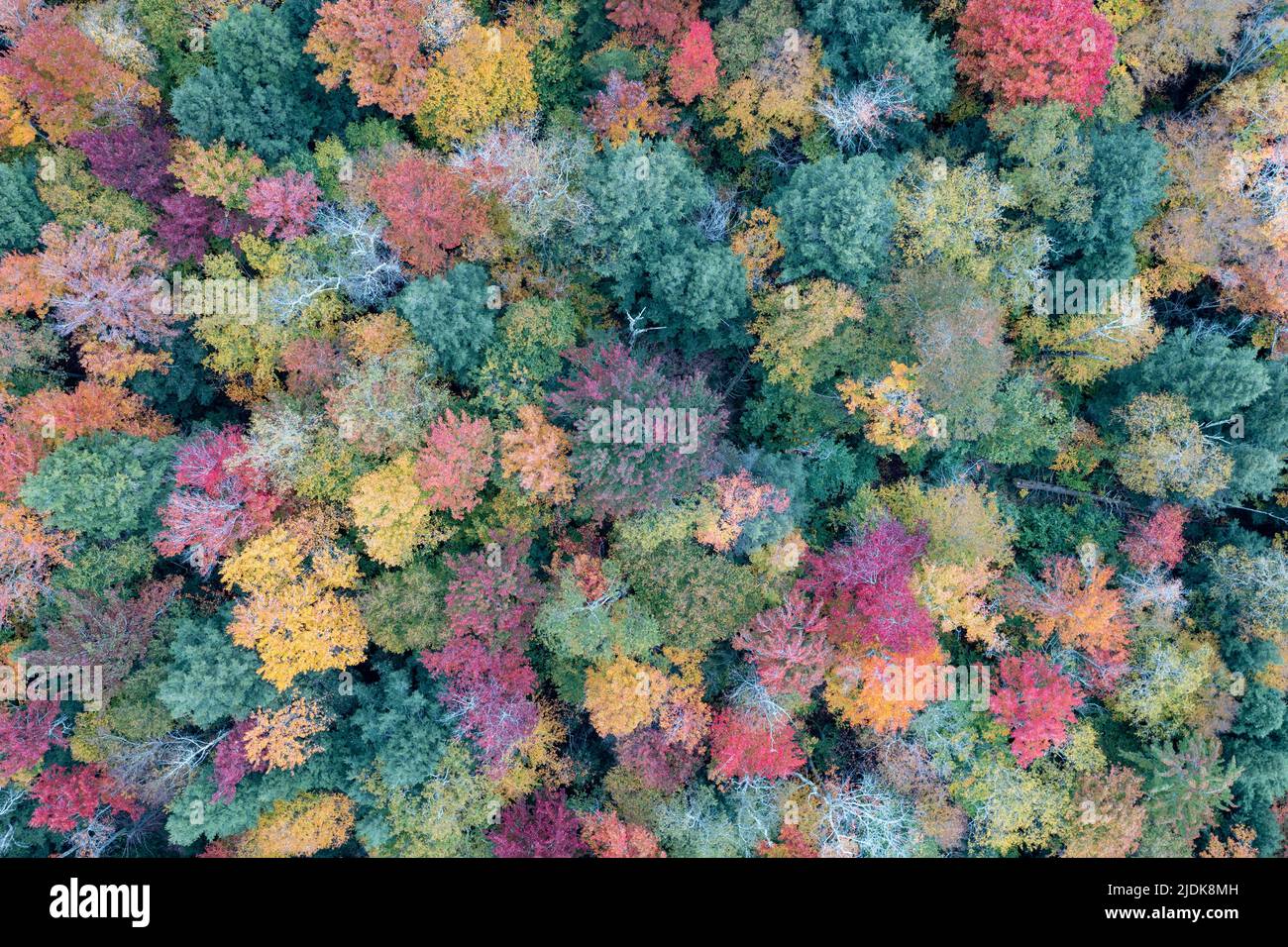 Colgate Lake in Upstate New York during peak fall foliage season Stock ...