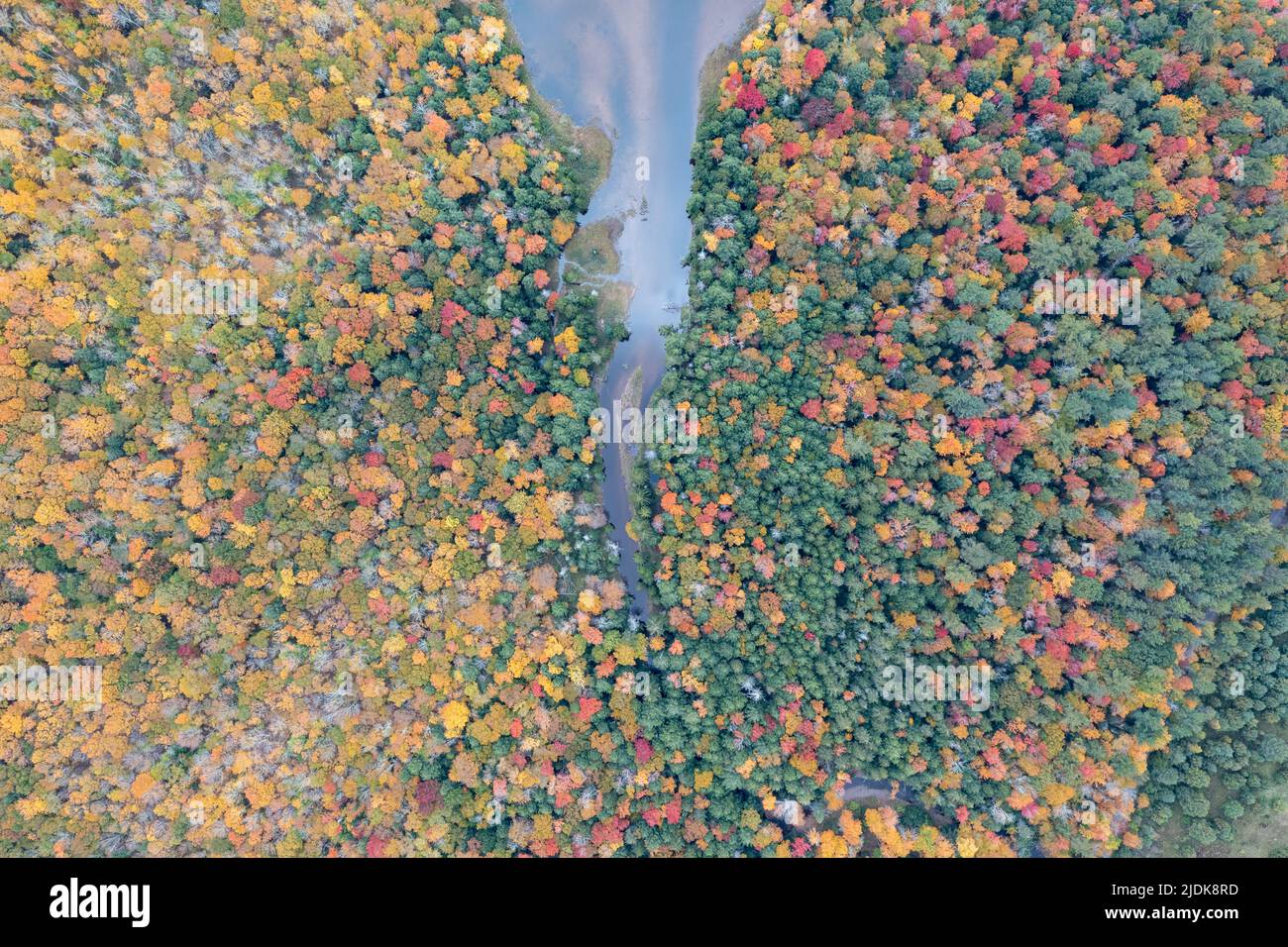 Colgate Lake in Upstate New York during peak fall foliage season Stock ...