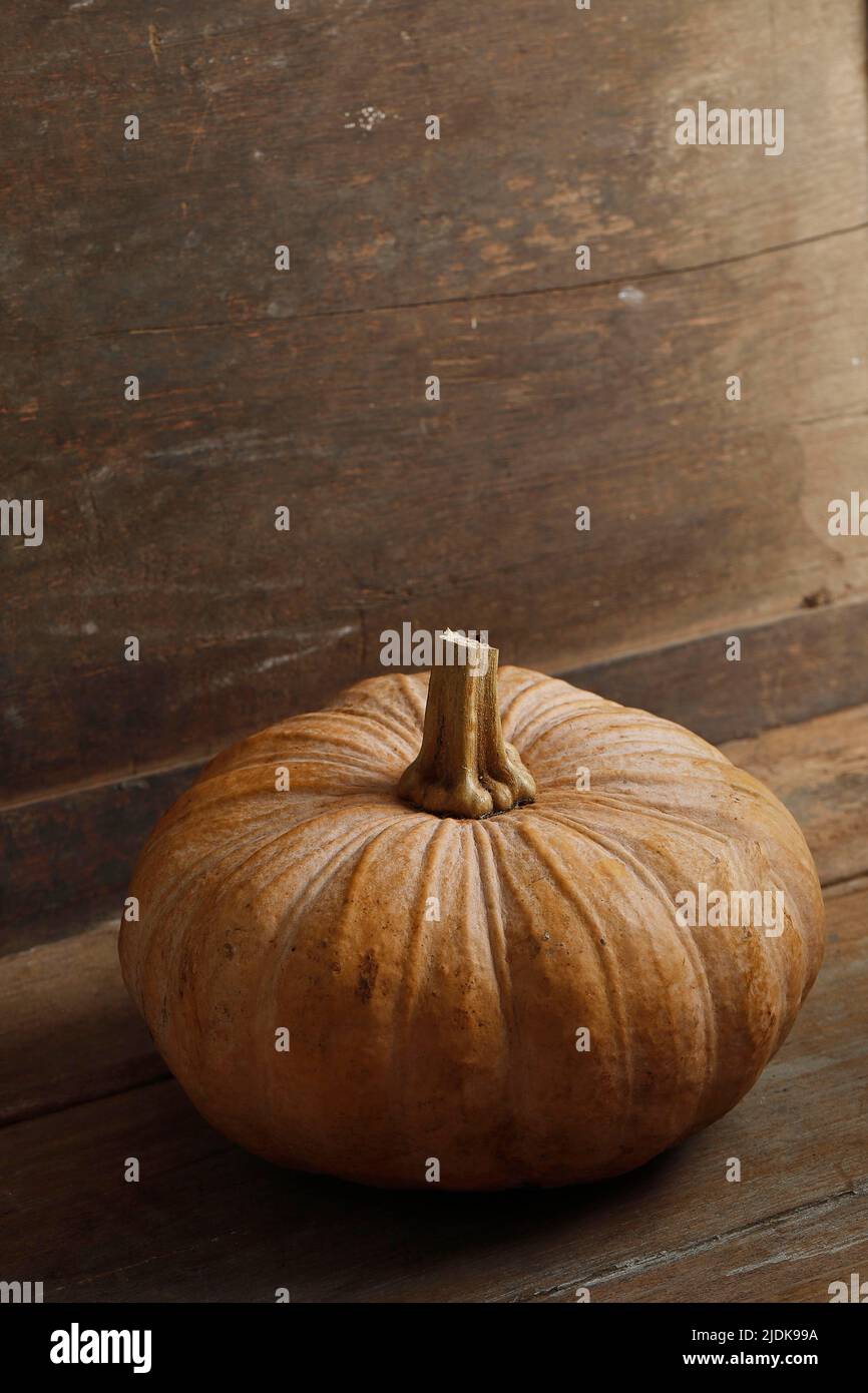 Kolak labu kuning hi-res stock photography and images - Alamy