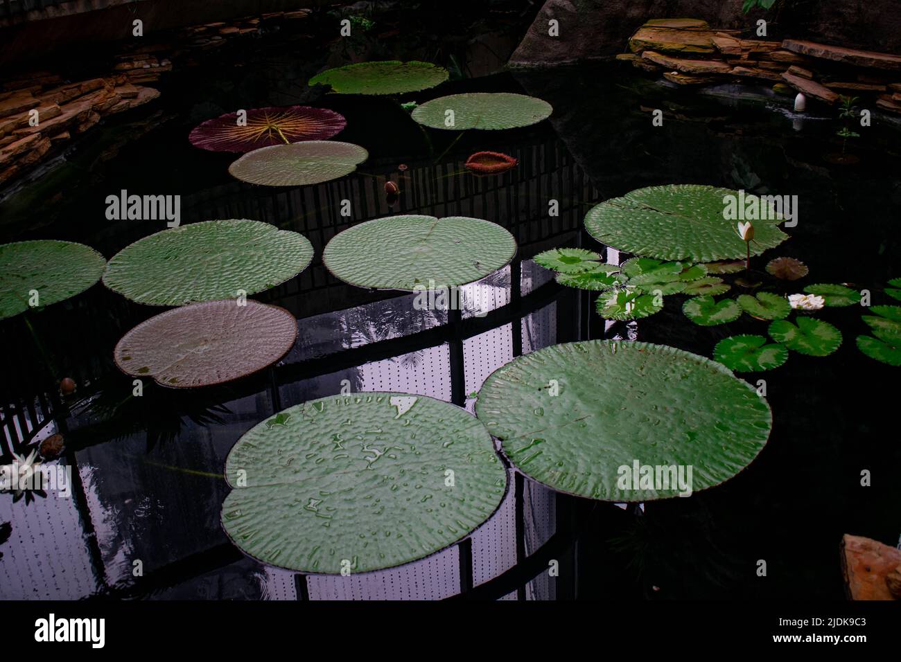 Deep lagoon hi-res stock photography and images - Alamy