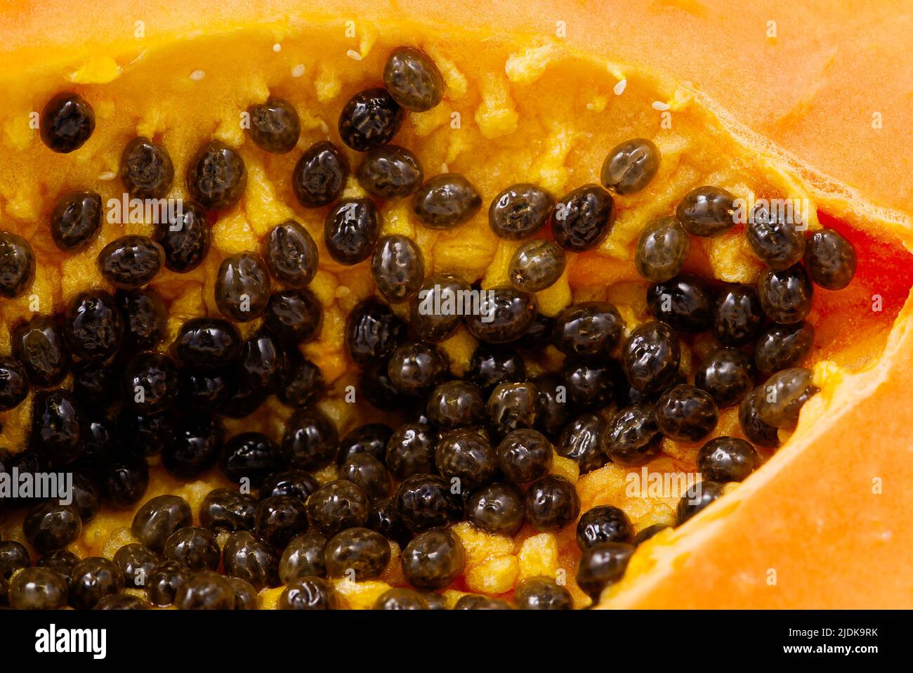 Close up of of ripe papaya. View of the Inside of a Papaya. Sweet ...