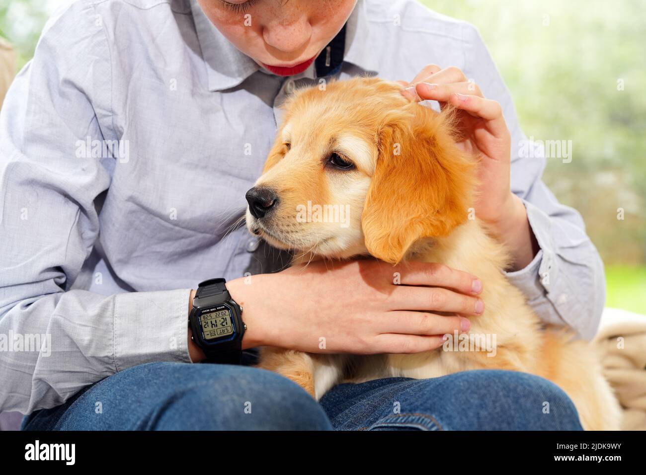 Happy cute puppy resting in the arms of a child, a dream come true ...