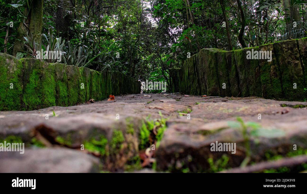 Outdoor trees and waterfalls summer tourism hi-res stock photography ...