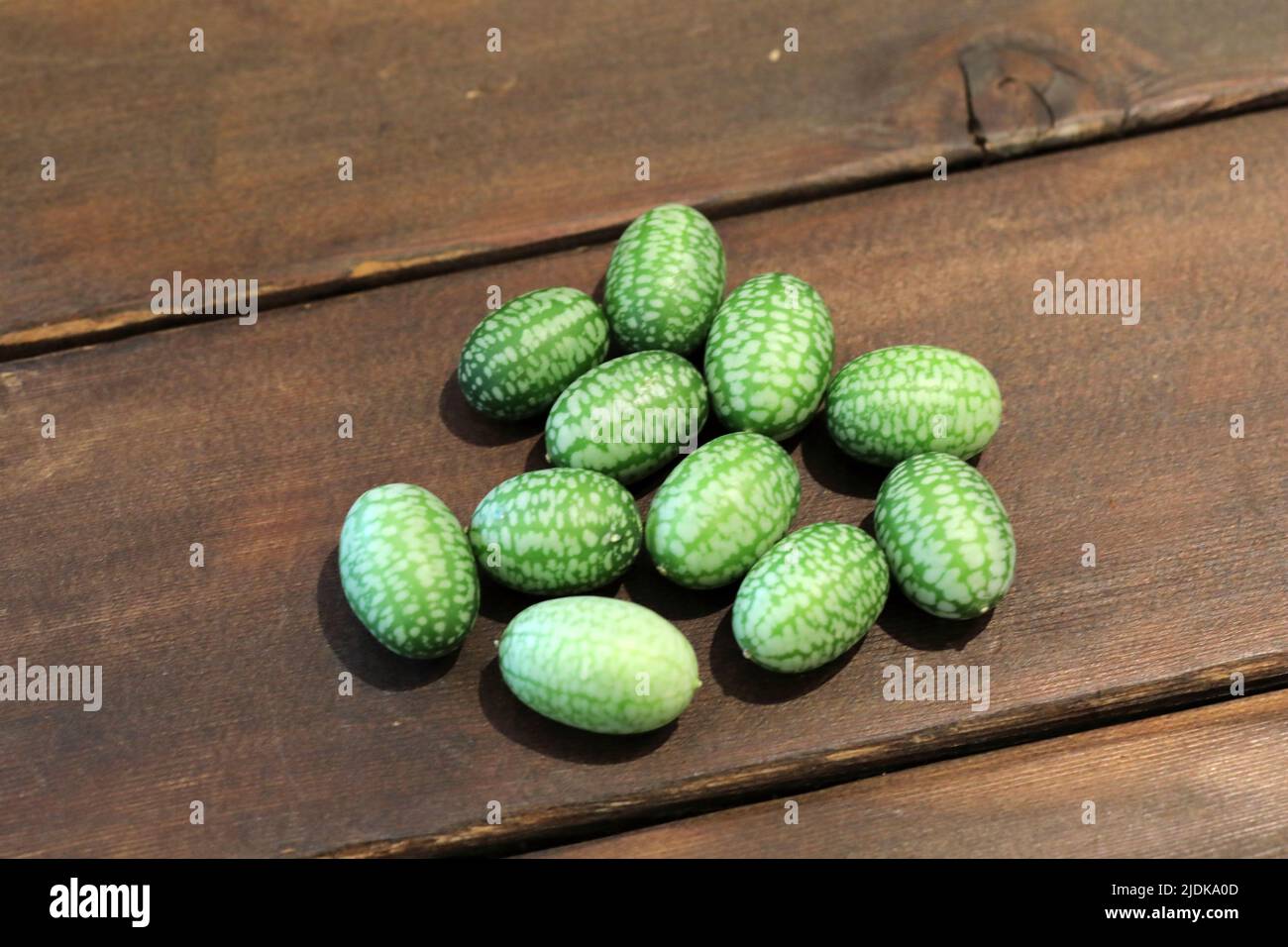 Micro cucumber hi-res stock photography and images - Alamy