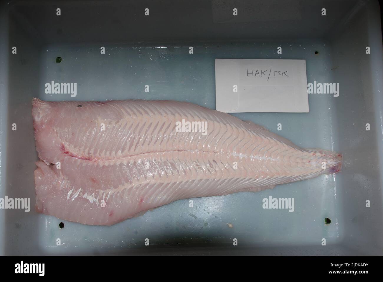 A look at life in New Zealand: Commercial fishing: fish species: deep ...