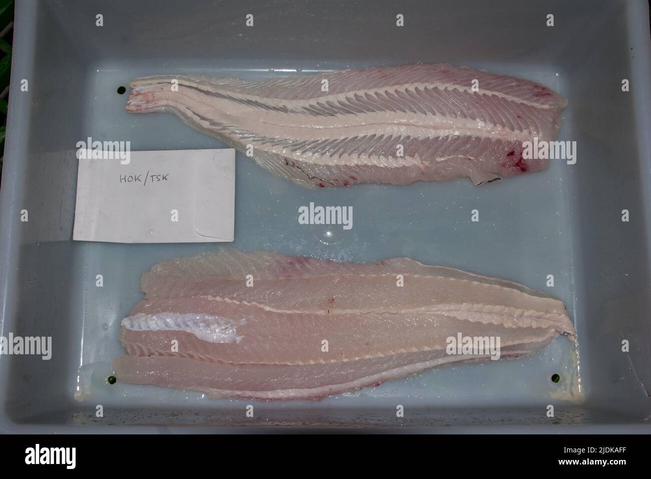 Hoki new zealand hi-res stock photography and images - Alamy