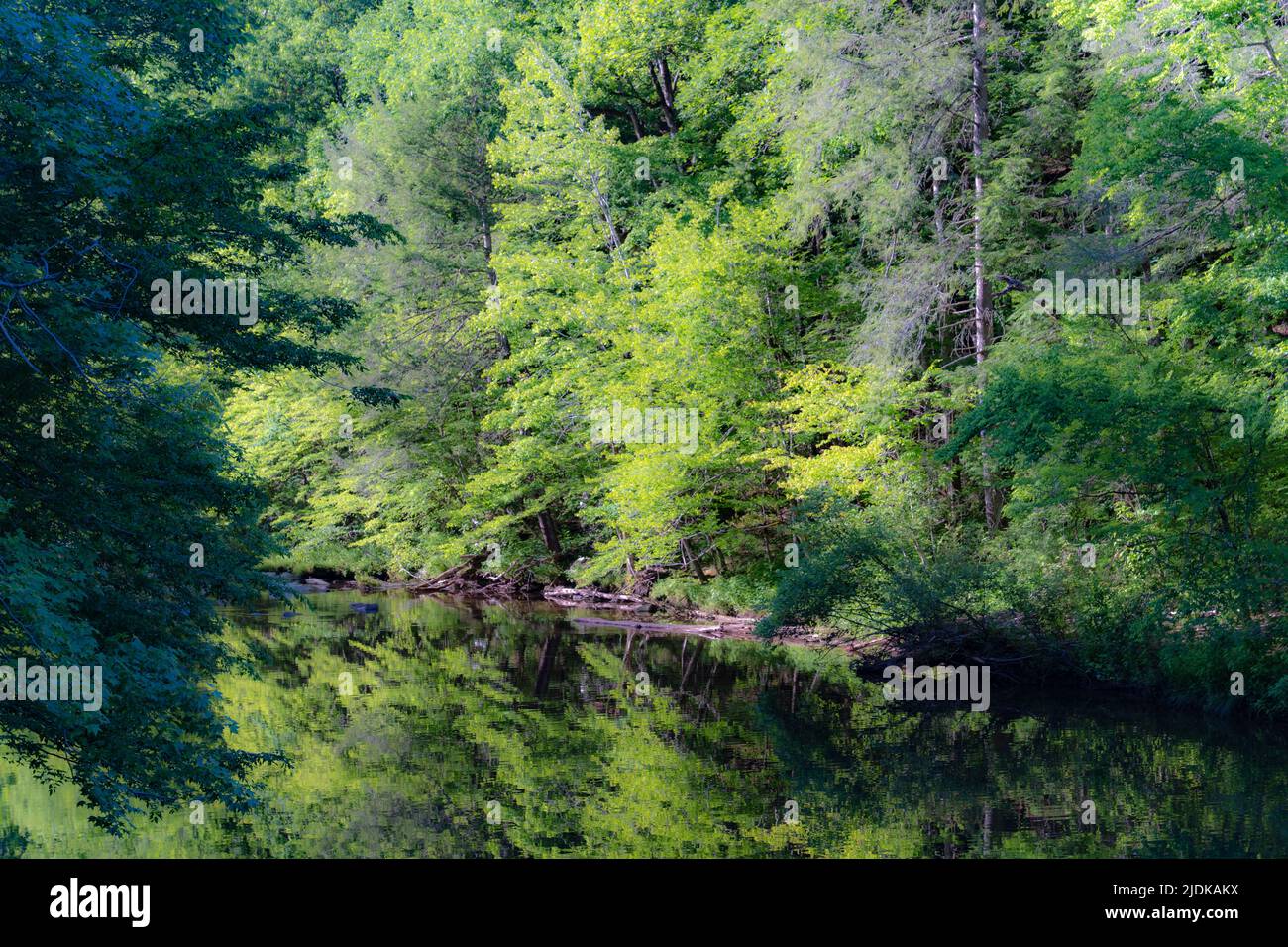 Smokey scene hi-res stock photography and images - Alamy