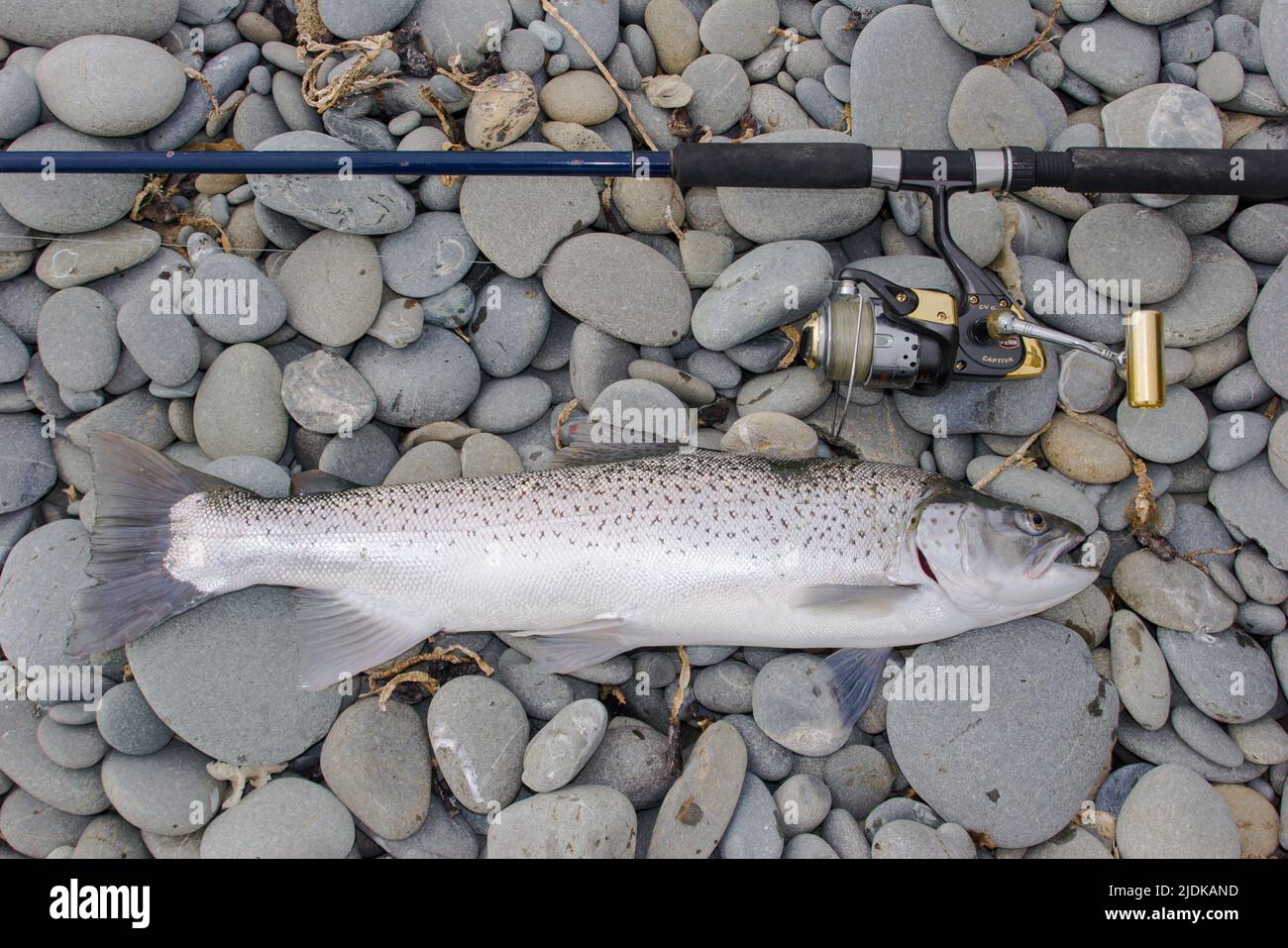 A look at life in New Zealand: fishing at spectacular rivermouths for ...