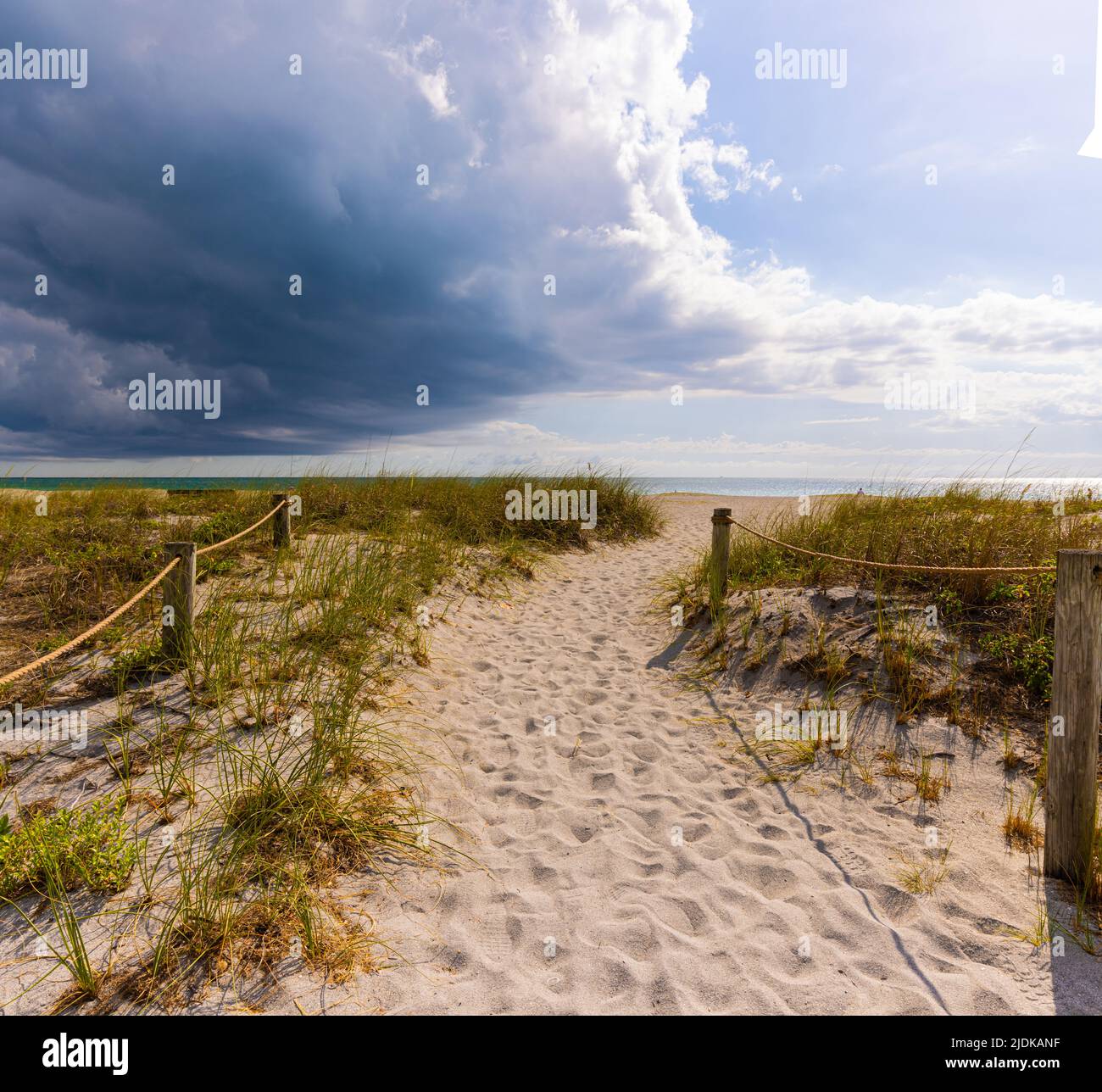 Florida beach sand dunes grass hi-res stock photography and images - Alamy