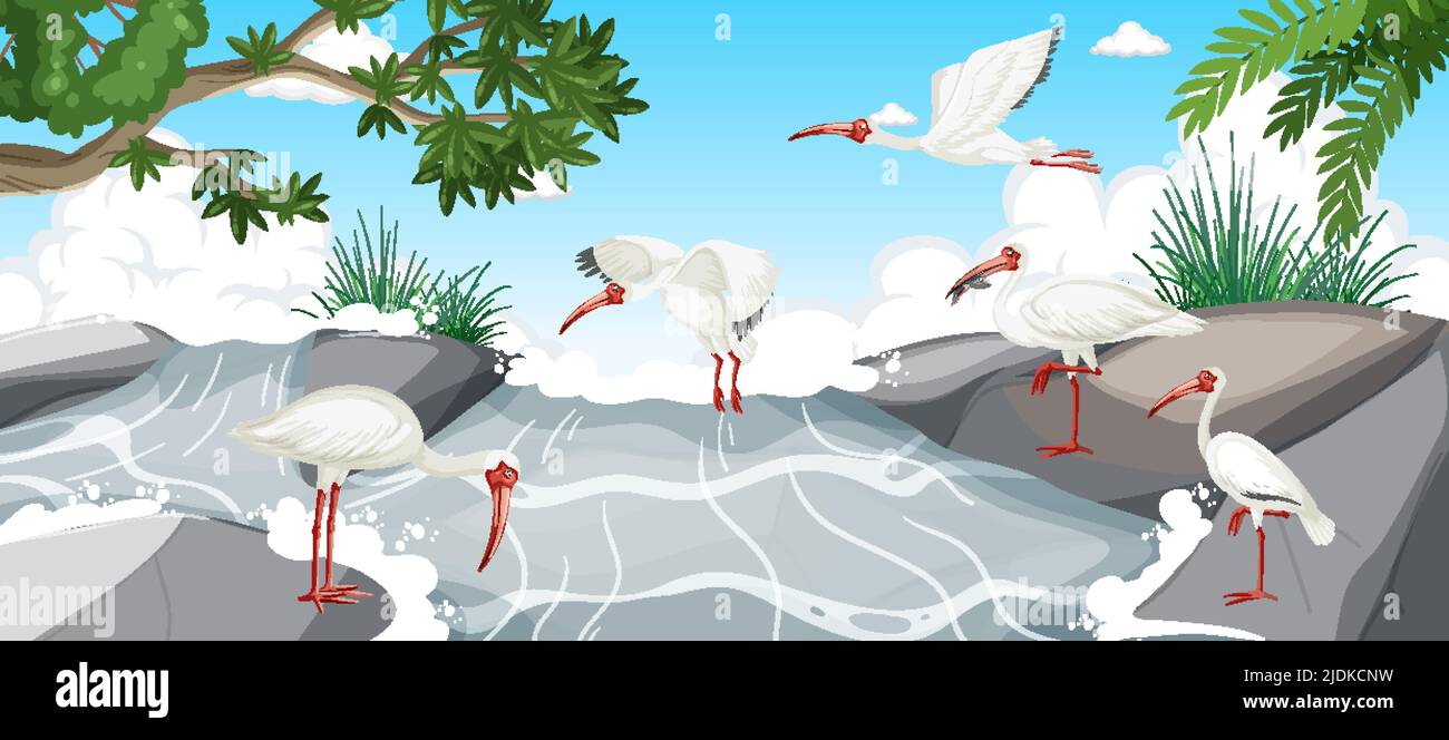 American white ibis group in the forest illustration Stock Vector Image ...