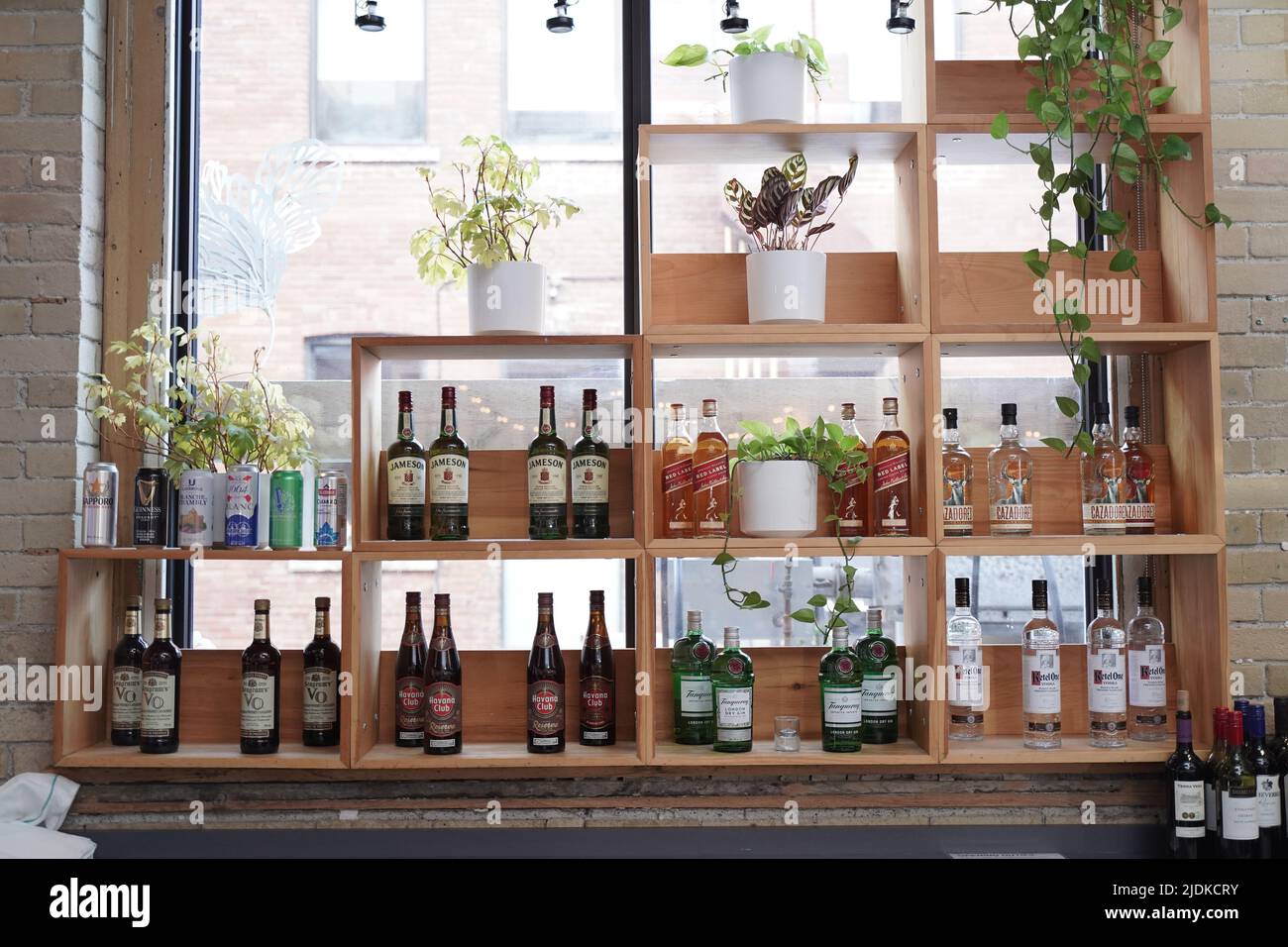 alcohol selection backdrop at a bar Stock Photo - Alamy