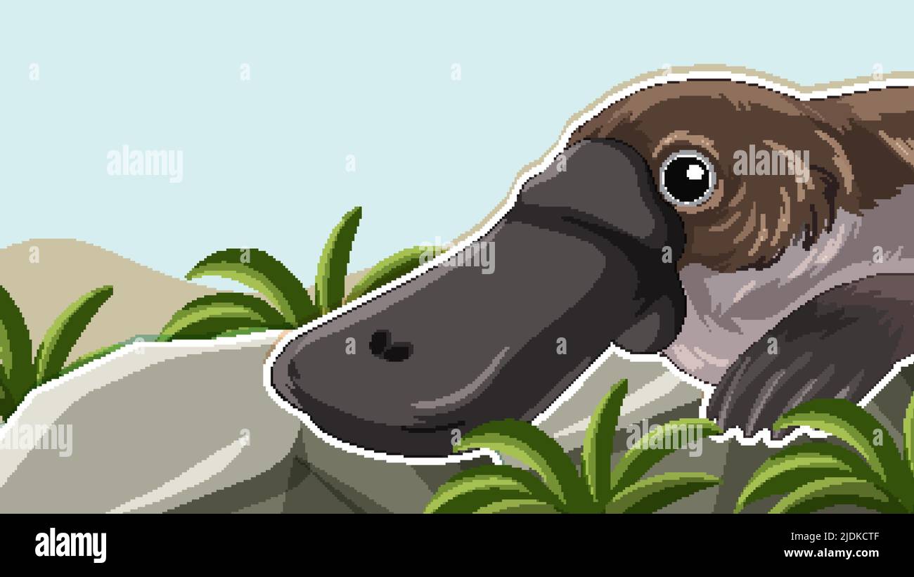 Platypus in nature background illustration Stock Vector Image & Art - Alamy