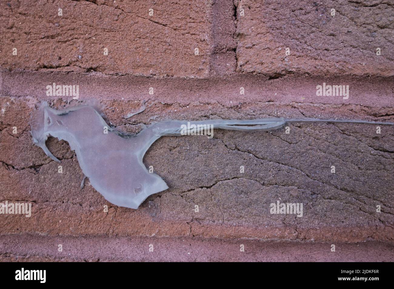 abstract silicone adhesive on a red and grey brick wall Stock Photo - Alamy