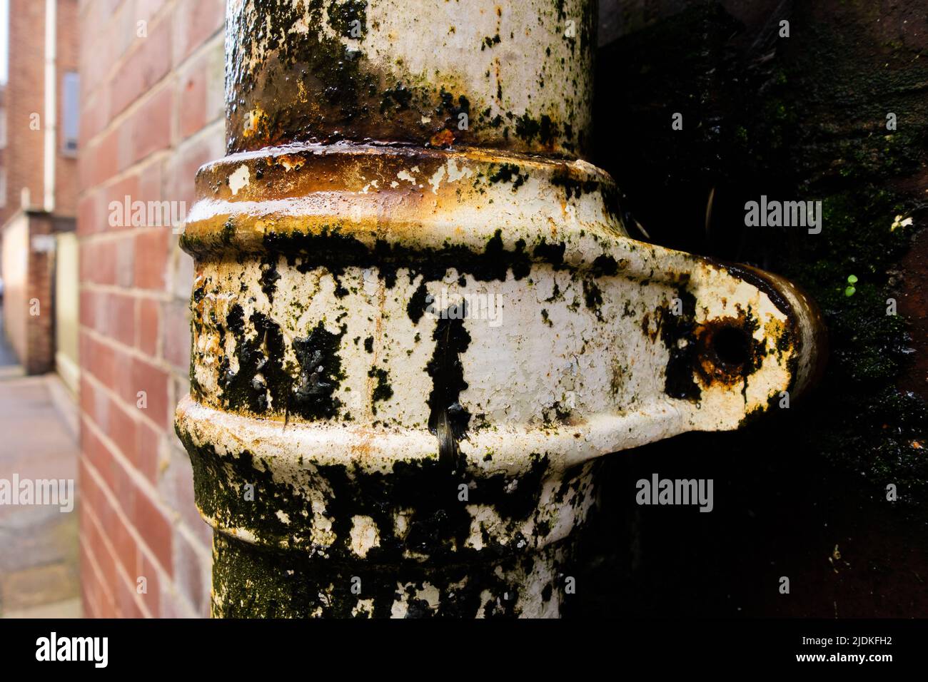 old iron rain water drain pipe fixed to a mouldy green wall Stock Photo ...