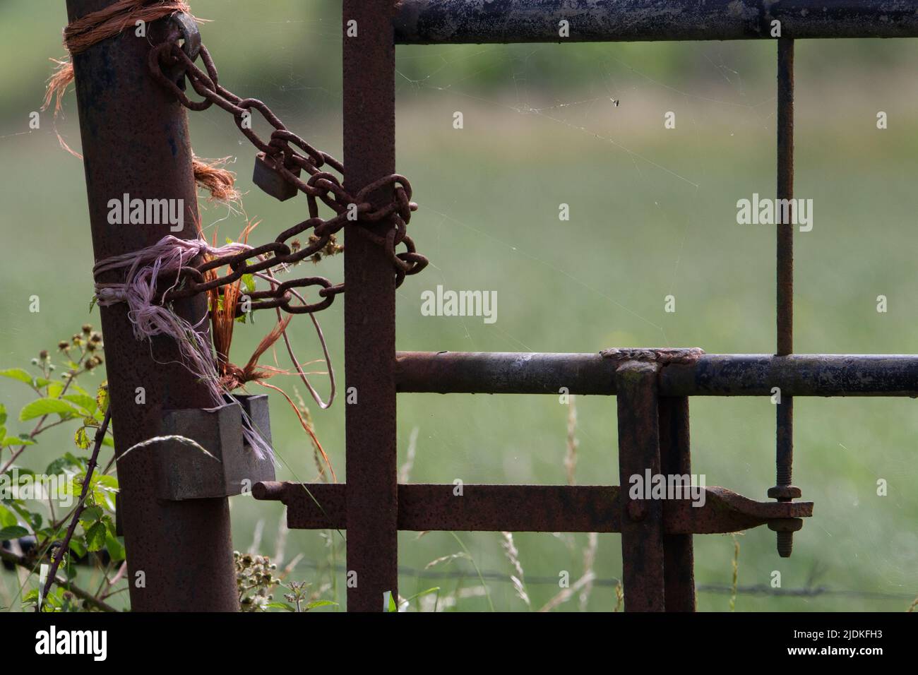 Old metal gate hi-res stock photography and images - Alamy