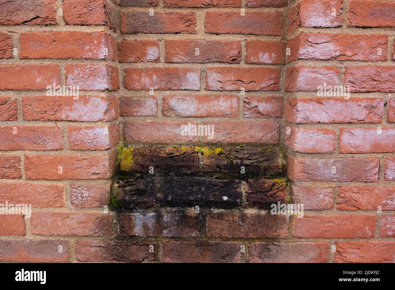old textured brick with stains and mould and window ledge below Stock ...