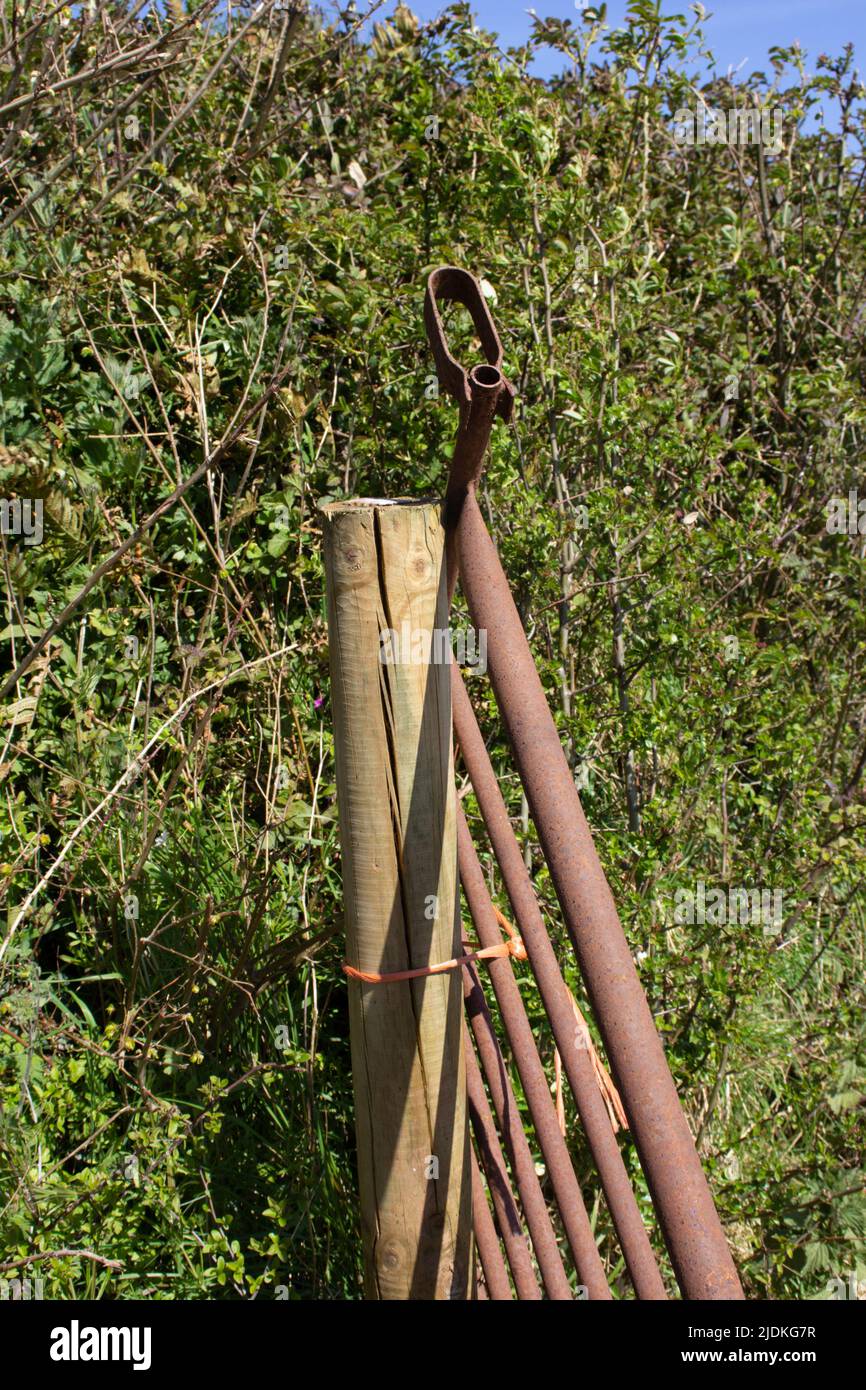 Hedge gate garden lawn hi-res stock photography and images - Alamy