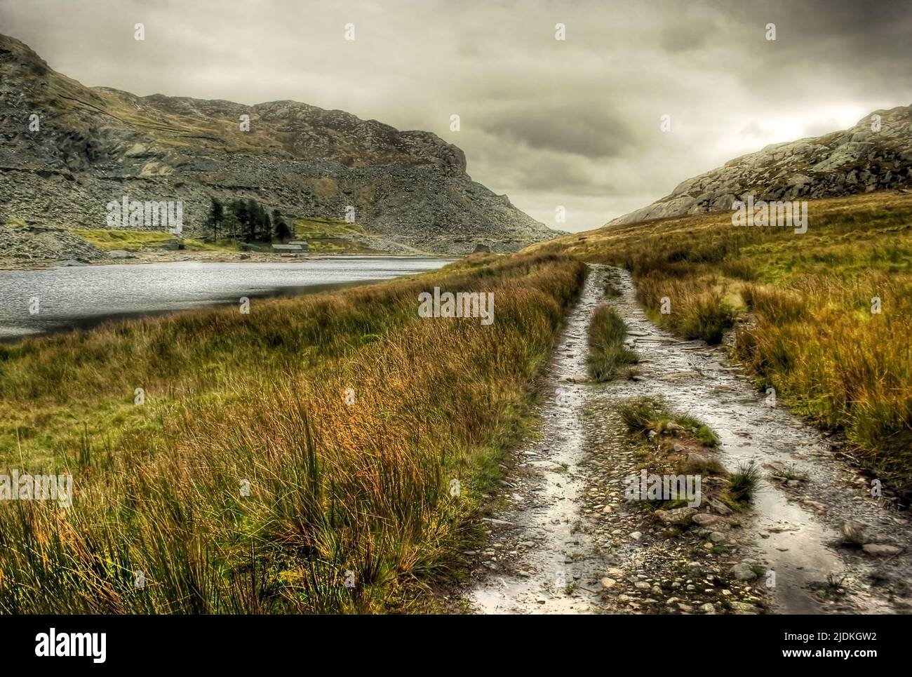 Remote lane in rural landscape in north of England Stock Photo - Alamy