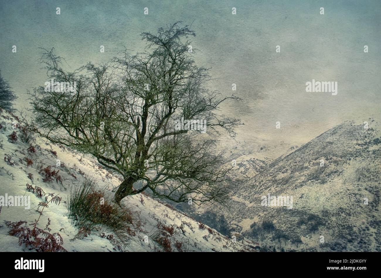 Winter landscape with snow in England, UK Stock Photo - Alamy