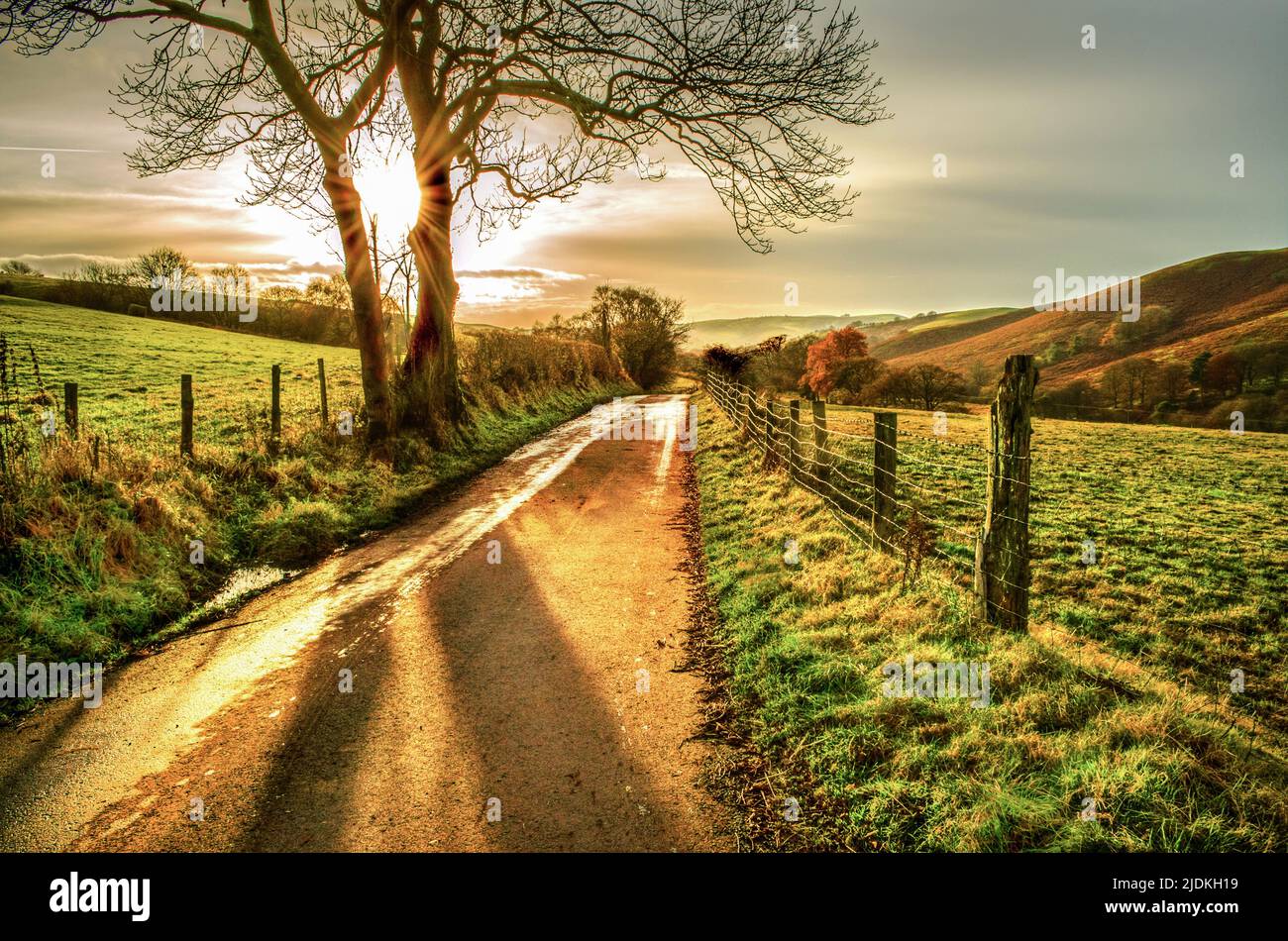 Setting sun with long shadows on country lane Stock Photo - Alamy