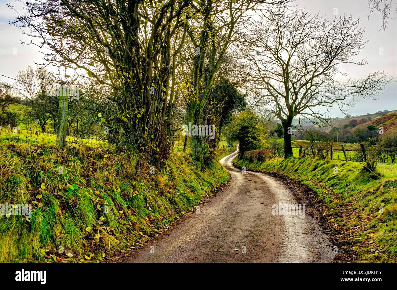Rural country lane twisting between fields in an English landscape ...