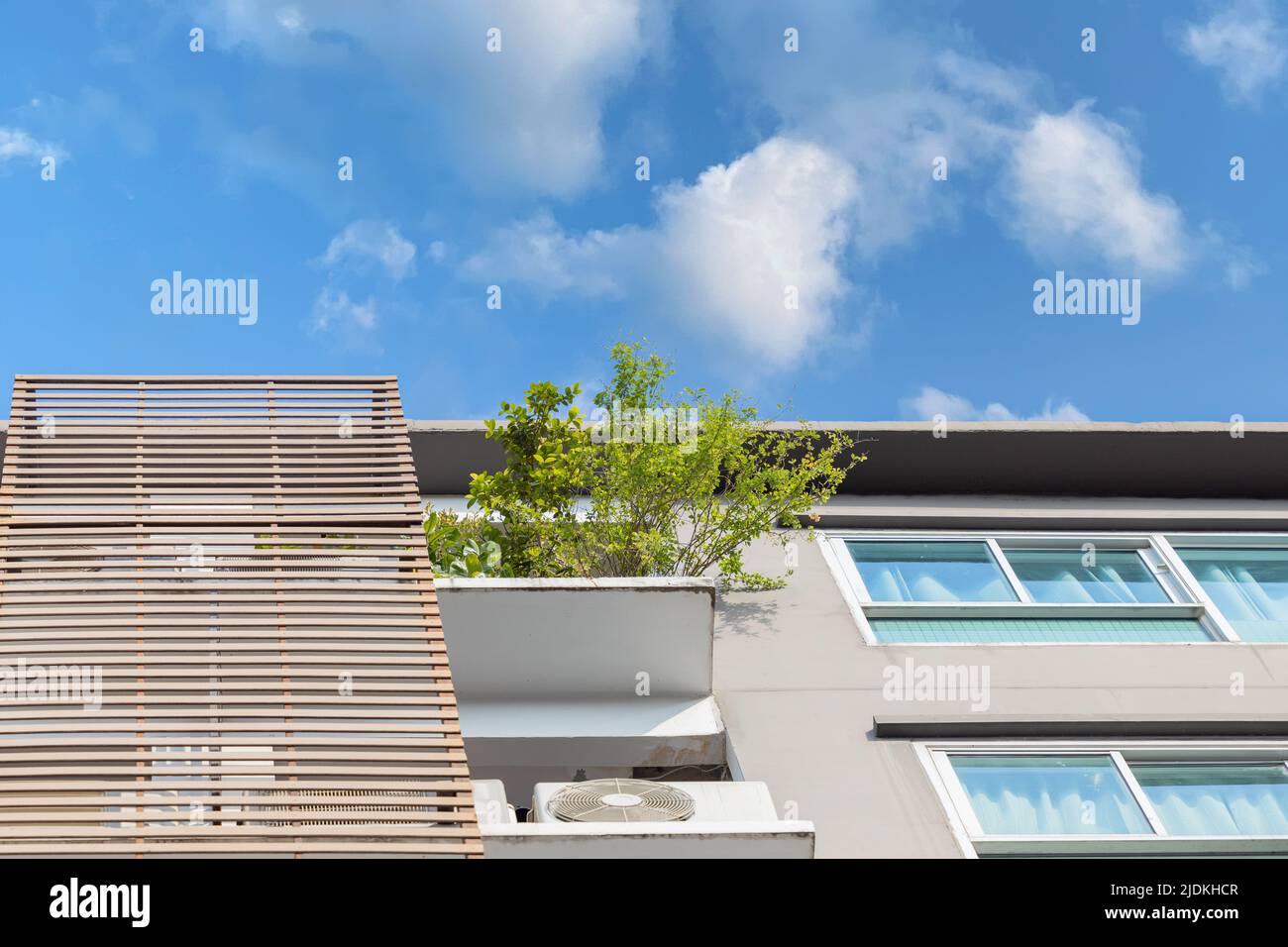 Planting trees on the balcony of the city metro condominium apartment ...