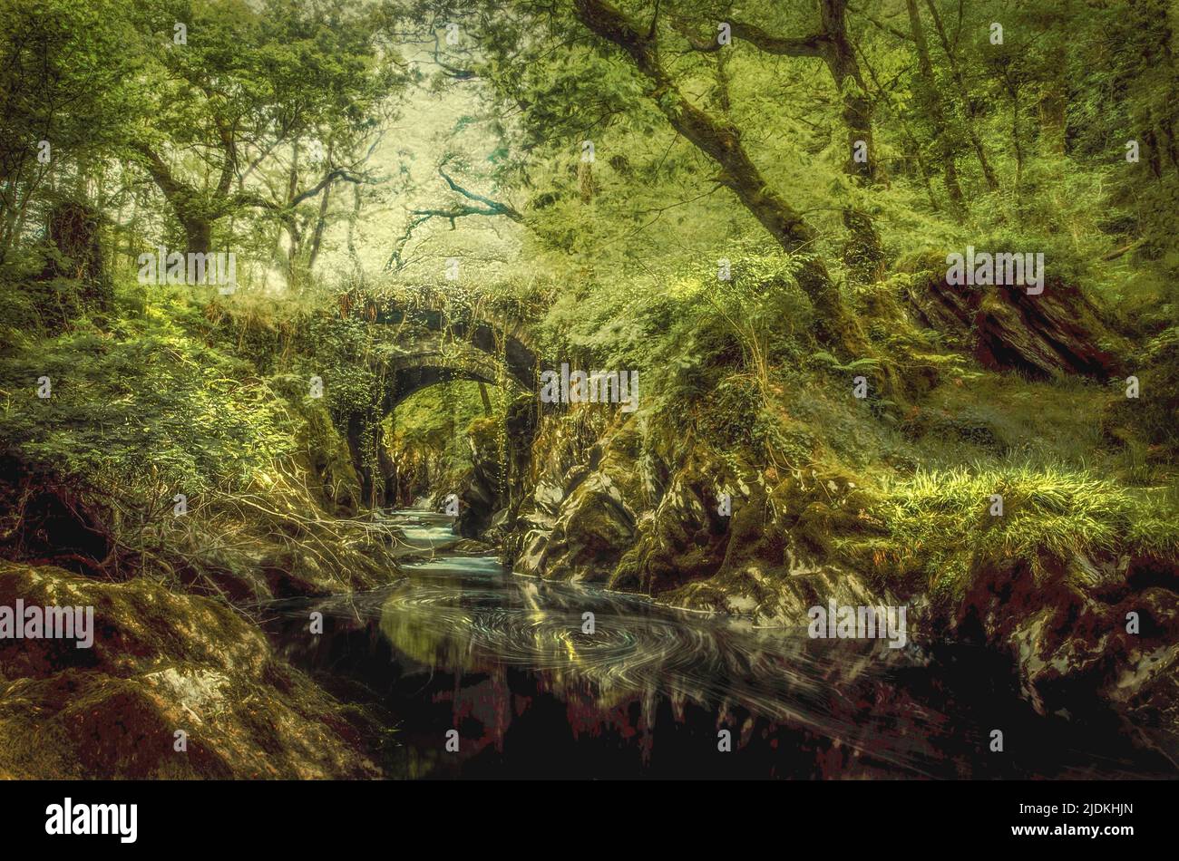 Sunlight shining into a woodland stream with small bridge Stock Photo ...