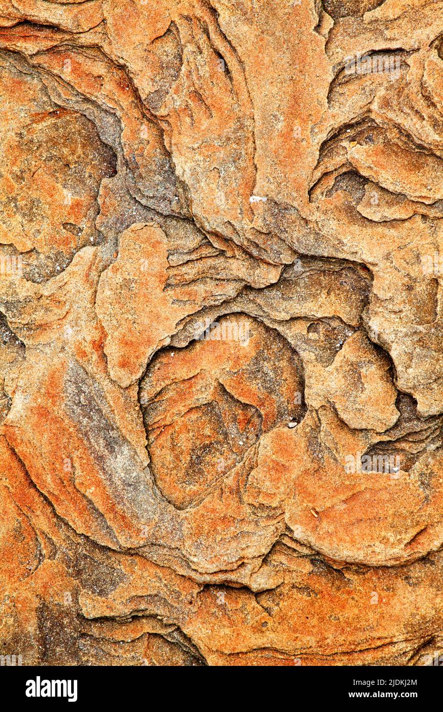Rock Detail on the Beach at Wellhaugh Point Amble by the Sea ...