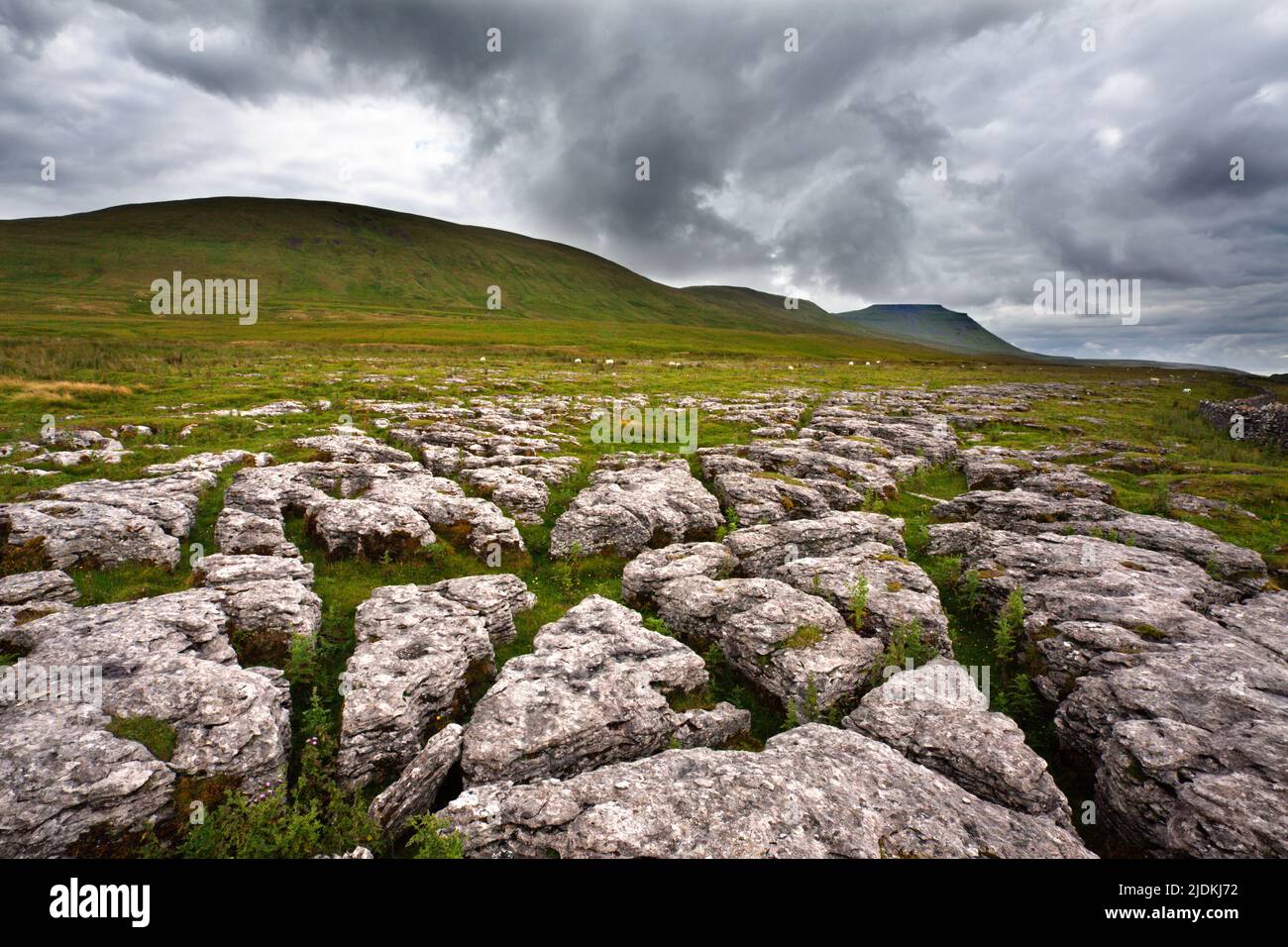 Ribblehead yorkshire dales england hi-res stock photography and images ...