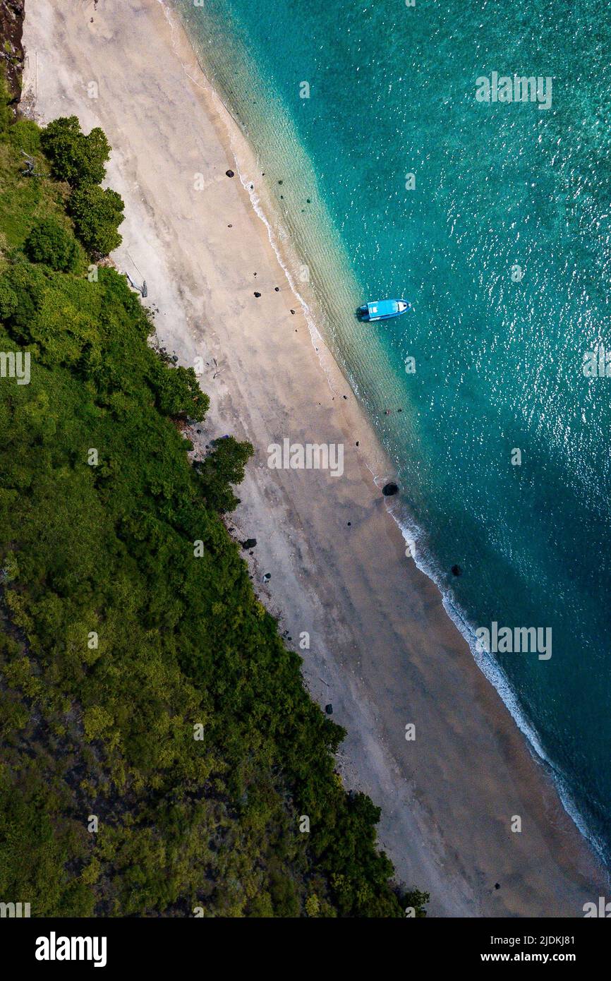 Mangroves of Mayotte lagoon Indian ocean Stock Photo - Alamy