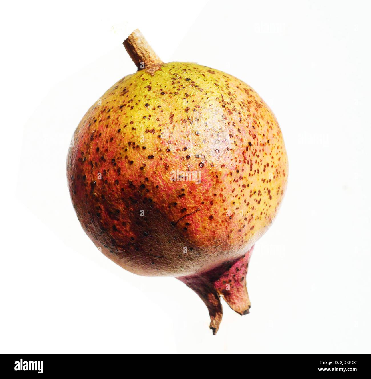 Pomegranate fruit isolated on white background, Yellow with red and ...