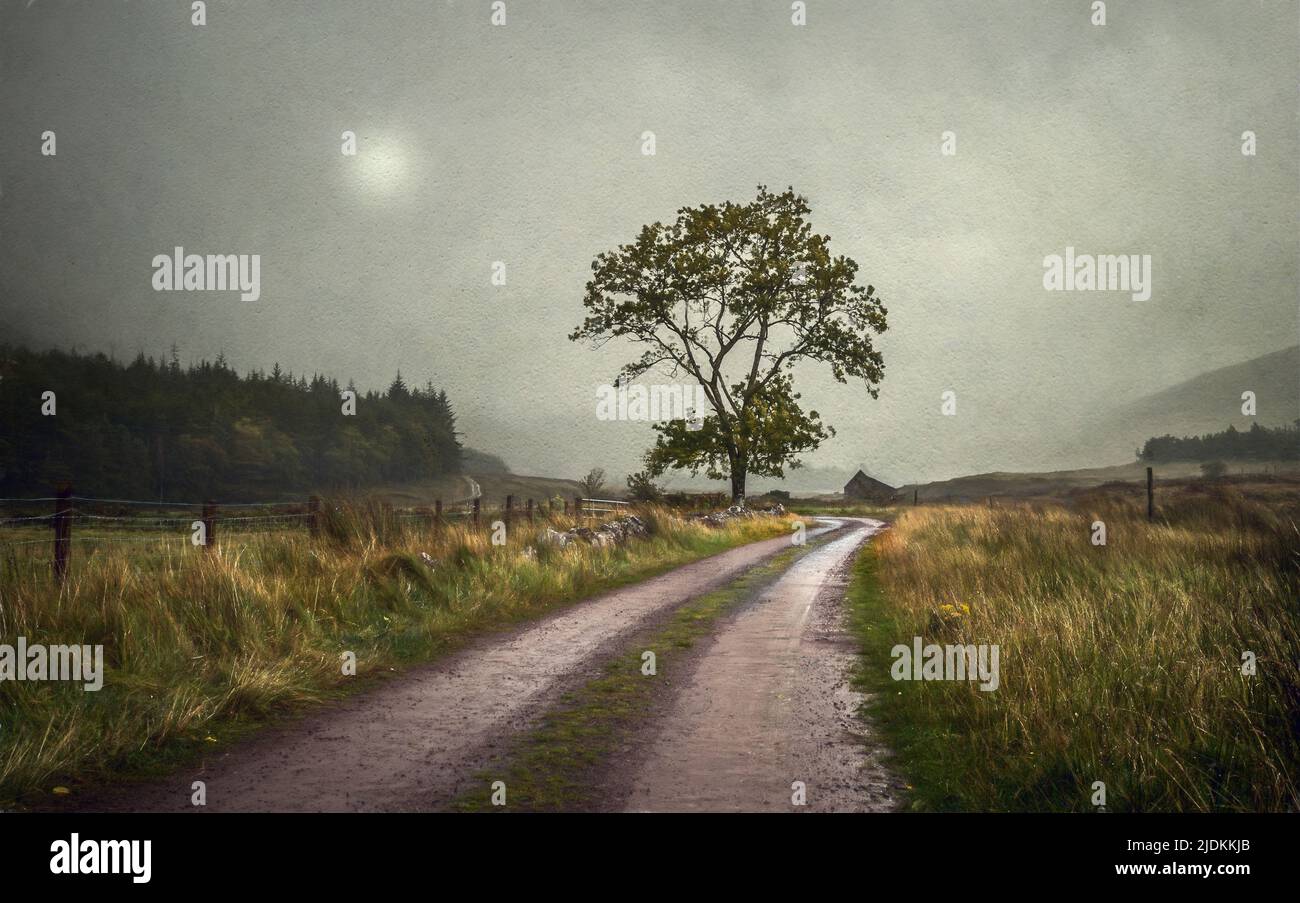 Distant house in a rural setting with mist and lane Stock Photo - Alamy