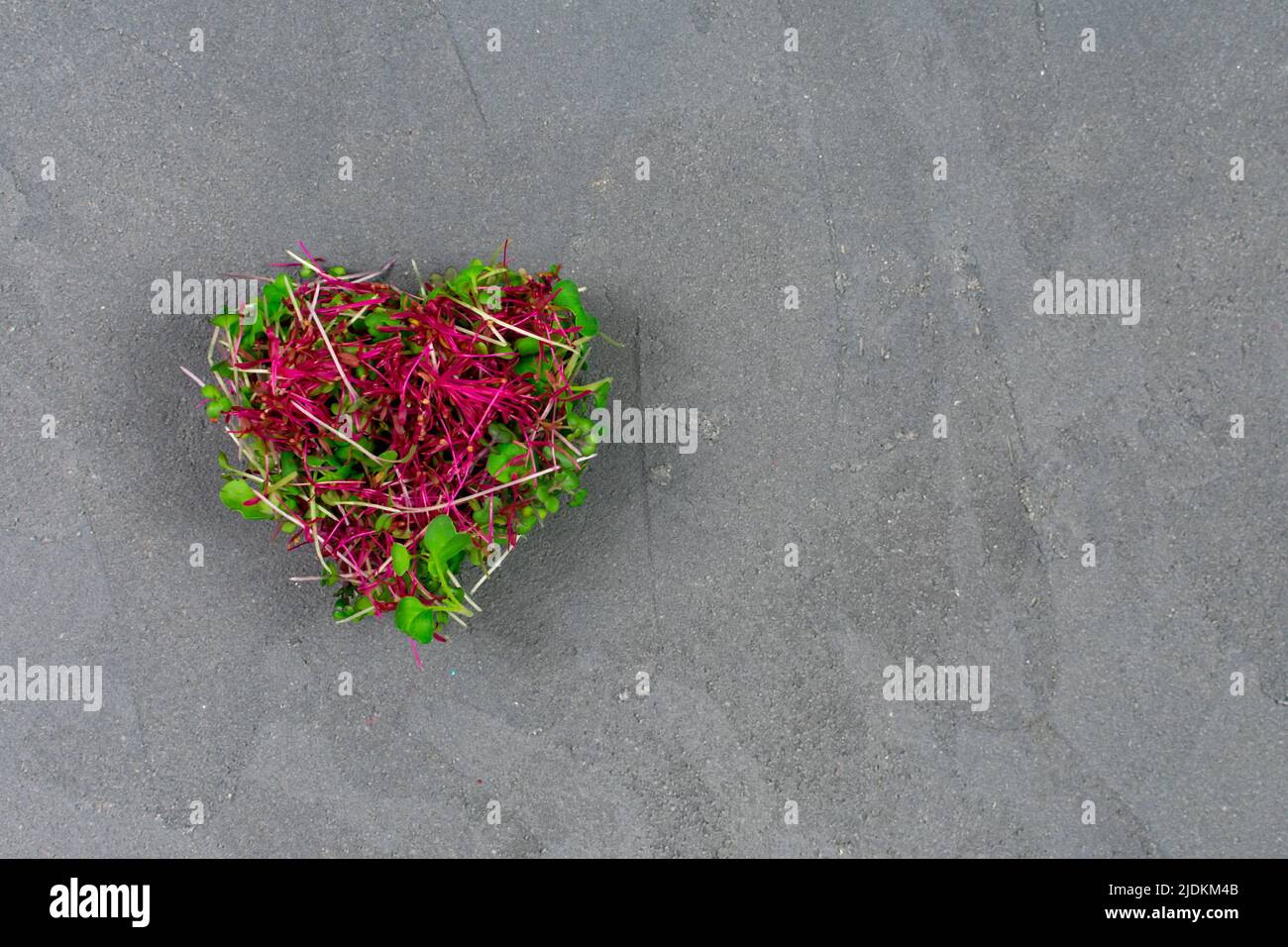Leaf cabbage seeds hi-res stock photography and images - Alamy