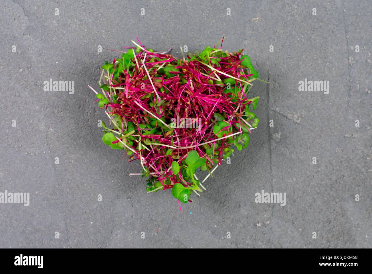Cabbage heart hi-res stock photography and images - Alamy