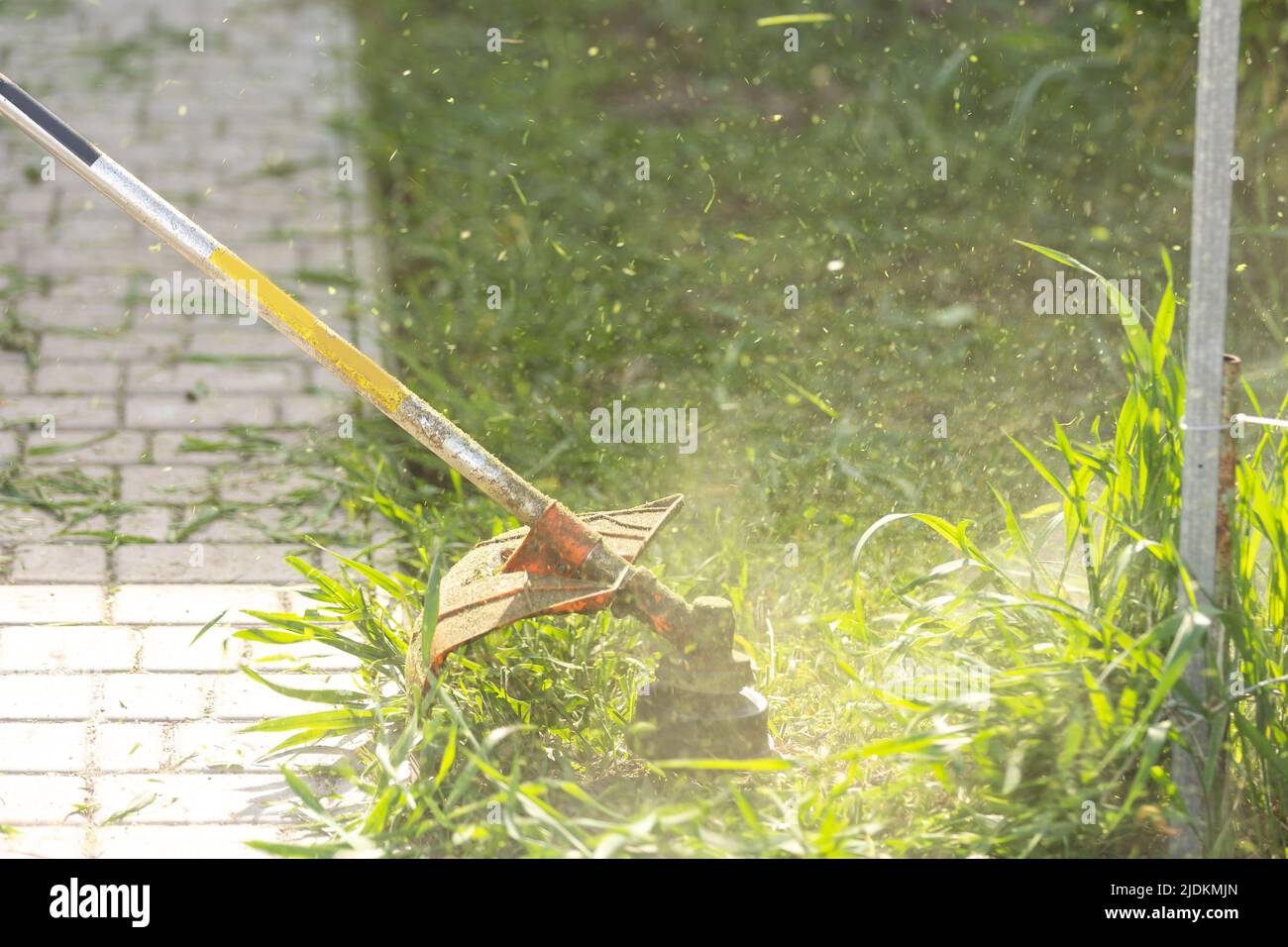 farmer mowing green grass with a scythe in the field Stock Photo - Alamy