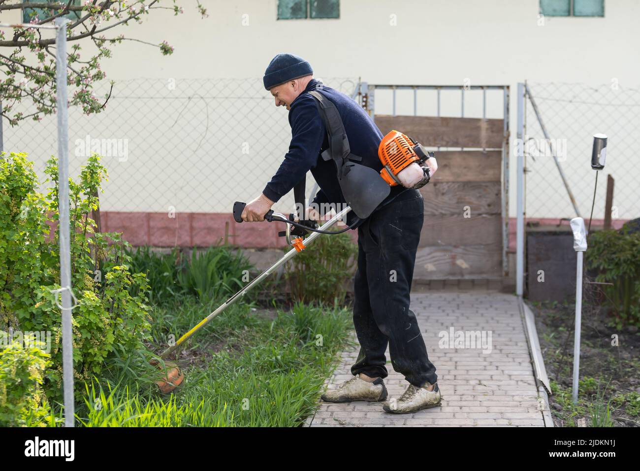 farmer mowing green grass with a scythe in the field Stock Photo - Alamy