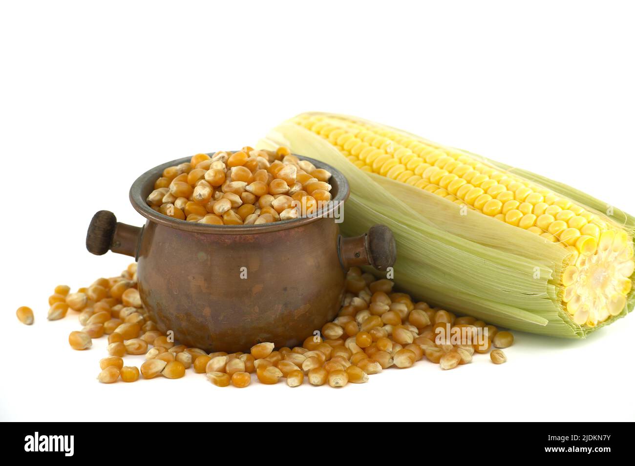 Vintage copper pot with corn kernels grains near fresh maize or corn on ...