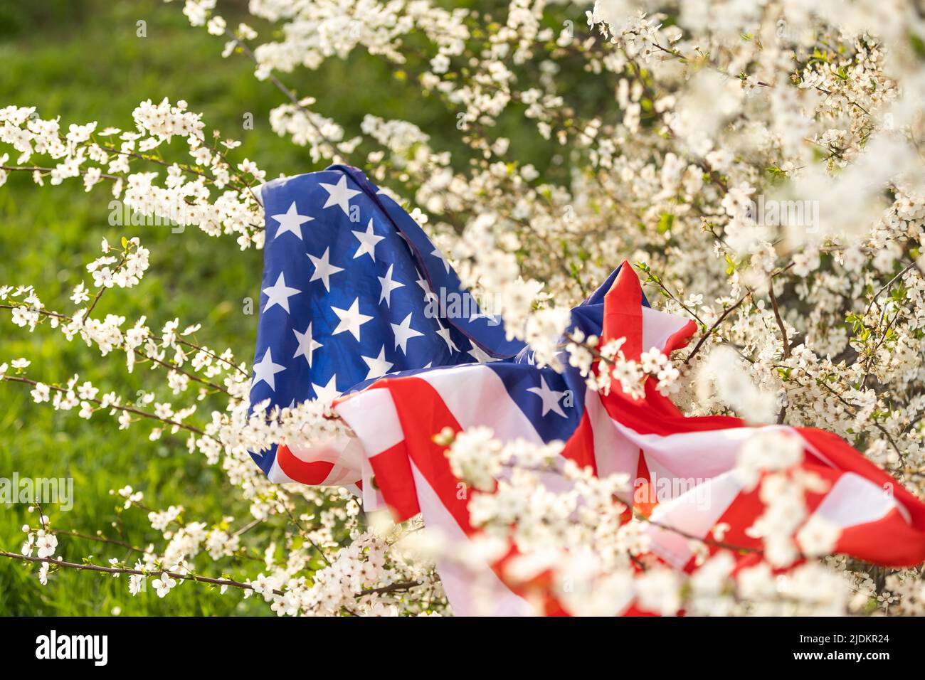 American flags in flowers on the Fourth of July Stock Photo - Alamy