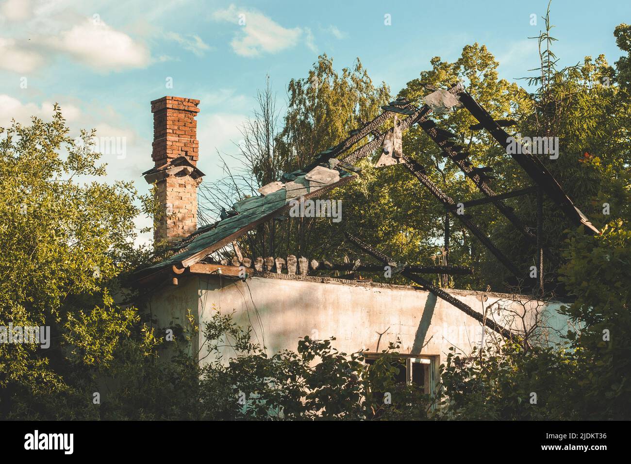 An old building in an overgrown bush forest with a burnt roof. Wood ...