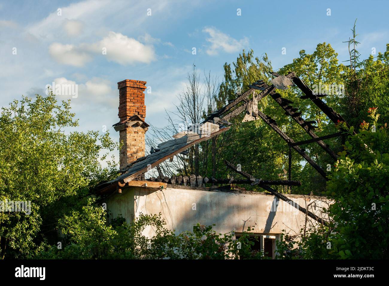 An old building in an overgrown bush forest with a burnt roof. Wood ...