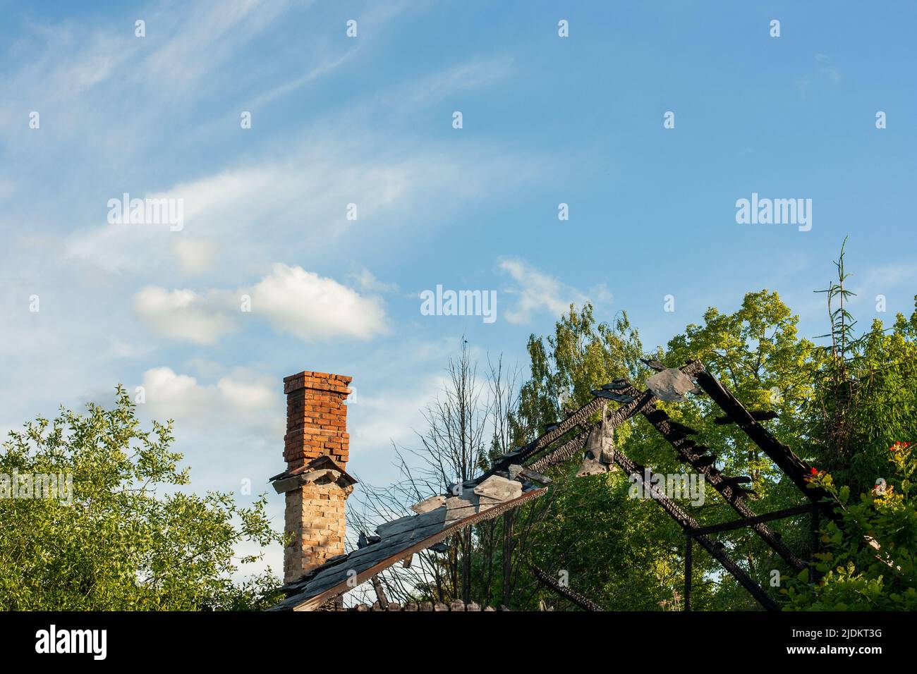 An old building in an overgrown bush forest with a burnt roof. Wood ...