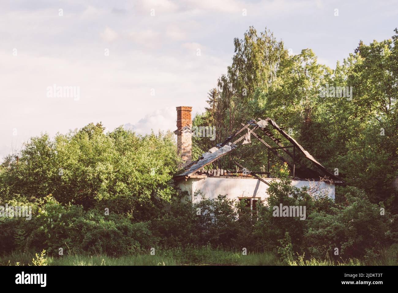An old building in an overgrown bush forest with a burnt roof. Wood ...