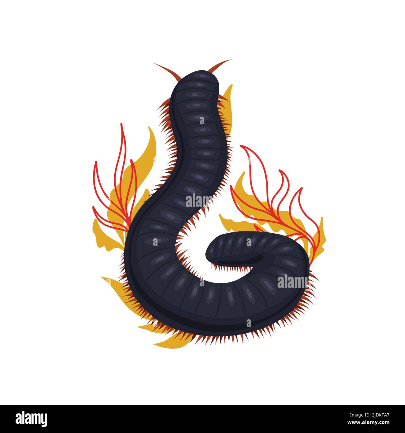 Vector illustration of centipede with foliage and stems. Trendy clipart ...